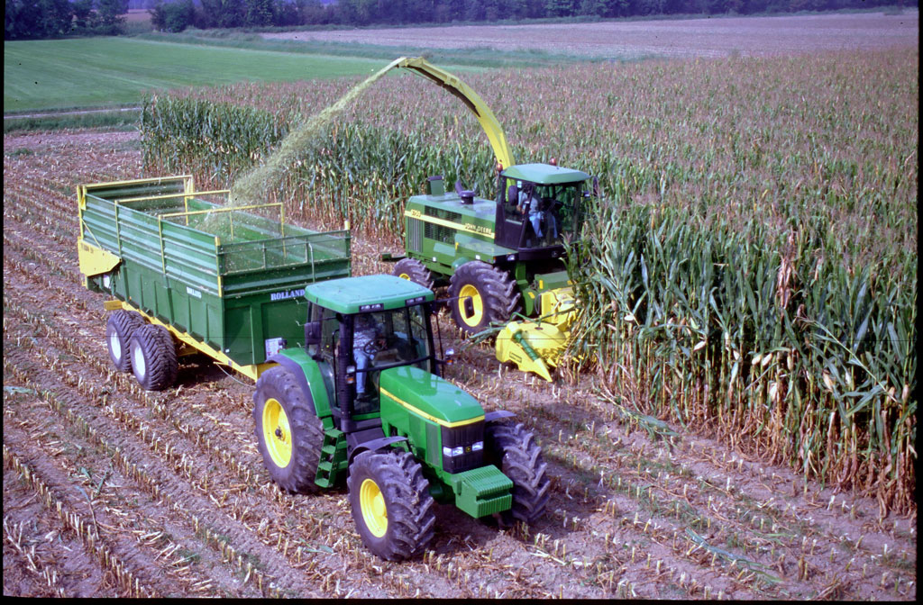 Trattore John Deere Nel Campo Trattore John Deere 3038E Sgalla